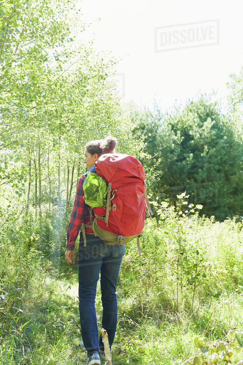 Woman hiking, rear view, Colgate Lake Wild Forest, Catskill Park, New ...