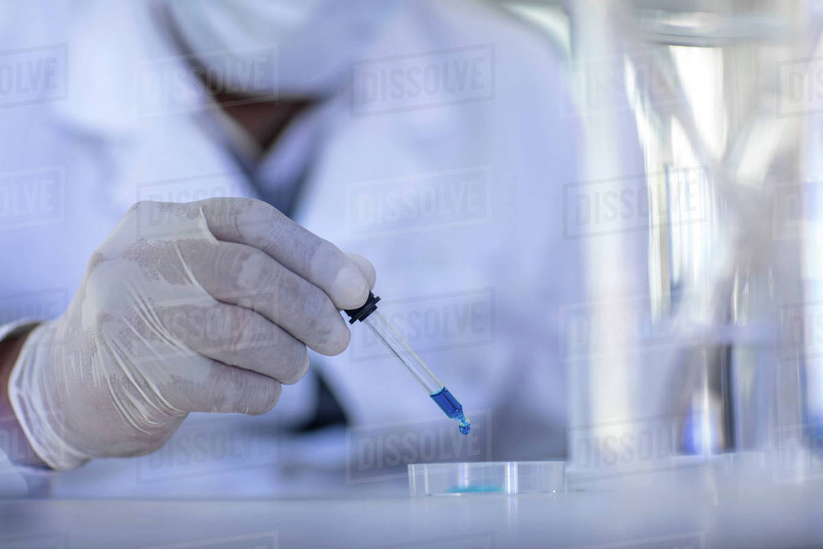 Laboratory worker using pipette, dripping liquid into petri dish, close ...