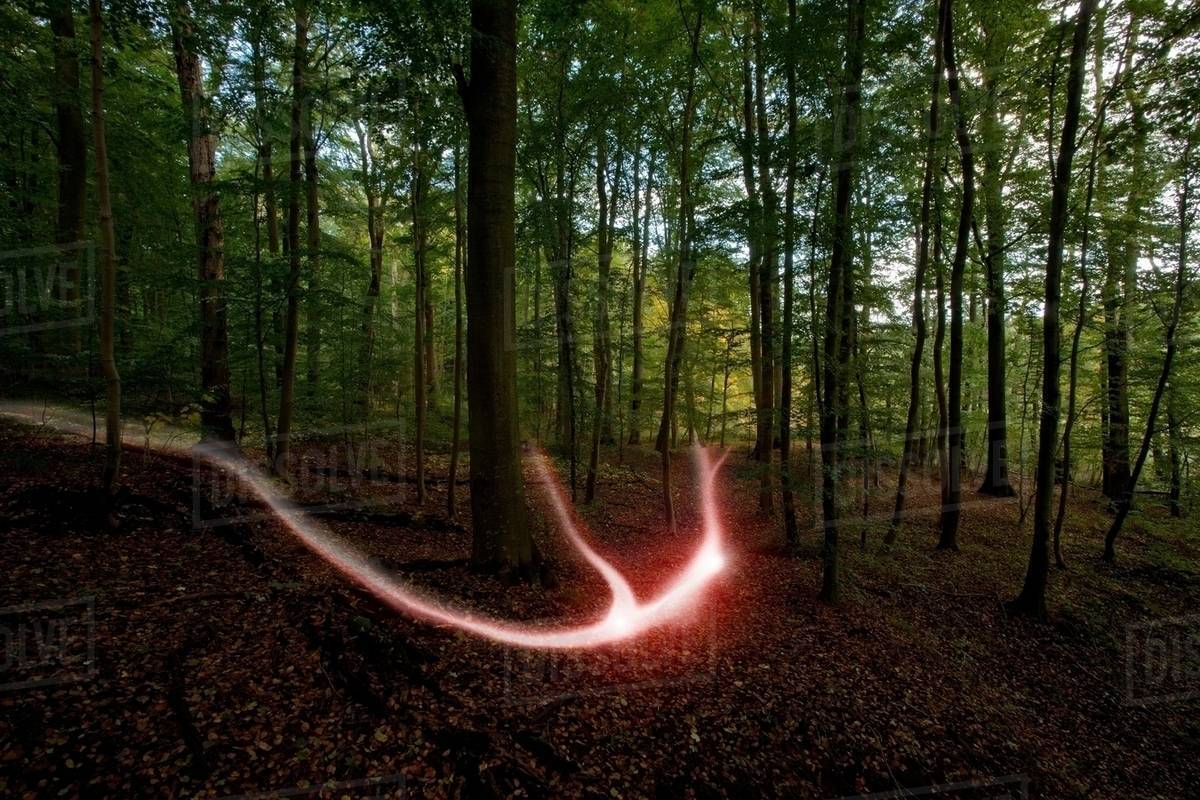 Light trail in a forest - Royalty-free Stock Photo | Dissolve
