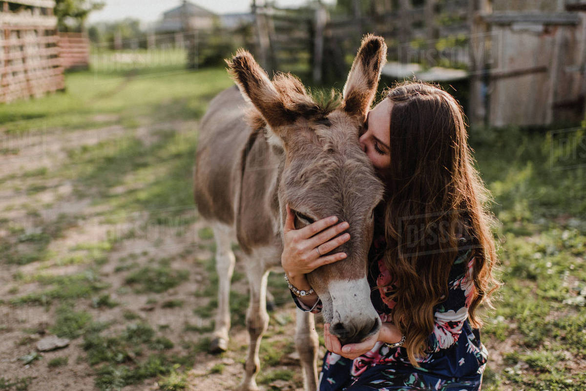 Woman kissing donkey - Royalty-free Stock Photo | Dissolve