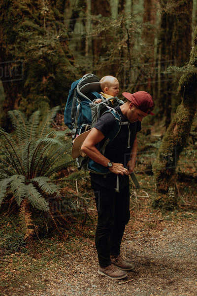 Hiker with baby exploring forest, Queenstown, Canterbury, New Zealand ...