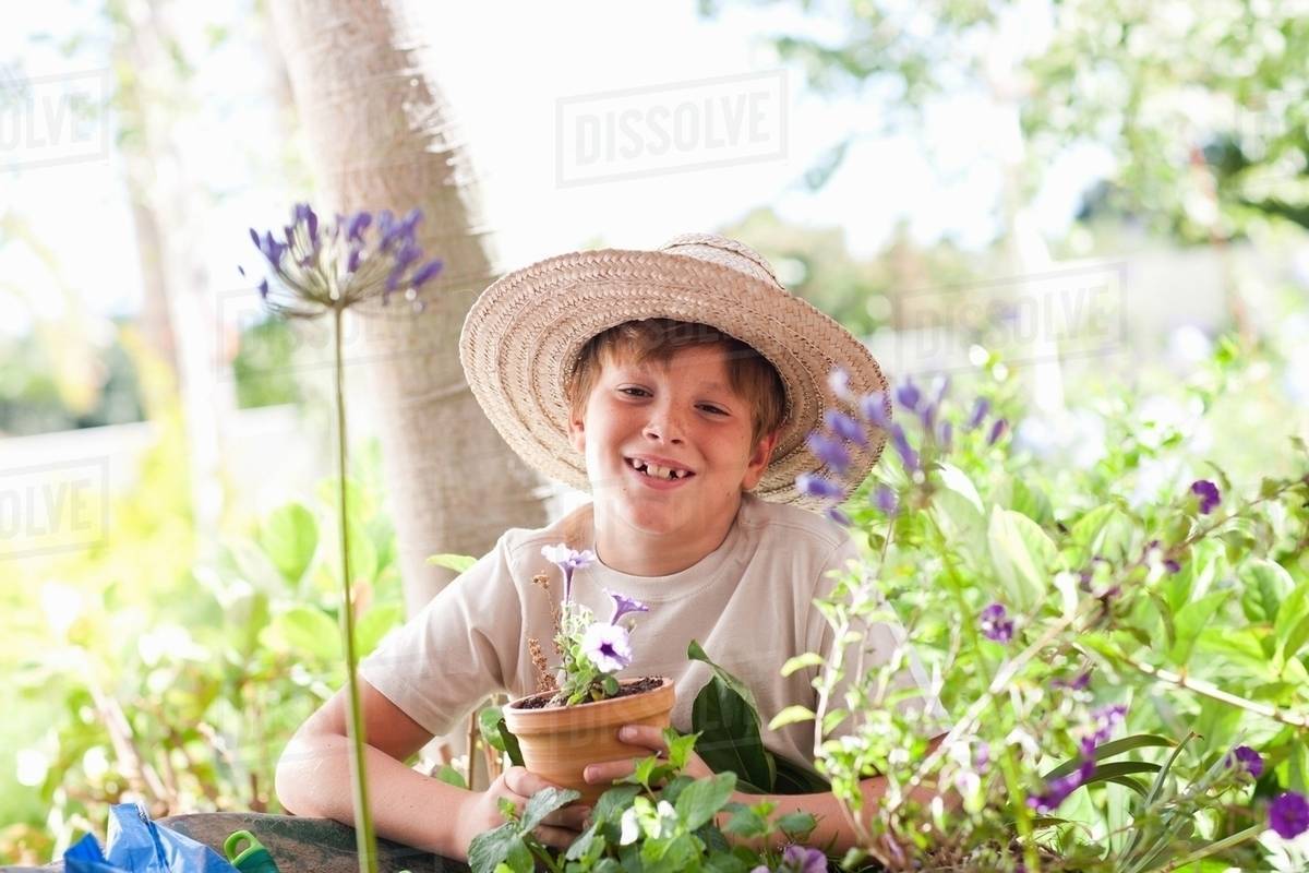 Boy potting plants outdoors - Stock Photo - Dissolve
