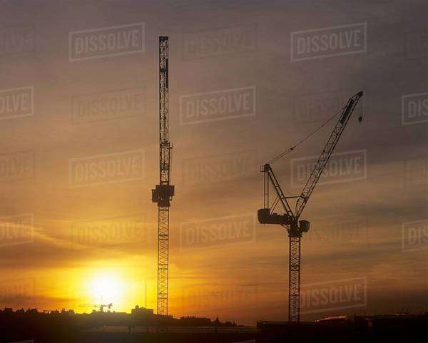 Cranes at sunset - Royalty-free Stock Photo | Dissolve