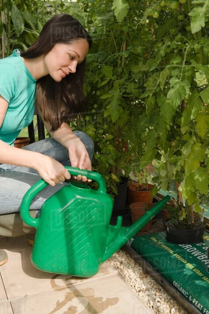 Woman watering plants - Royalty-free Stock Photo | Dissolve