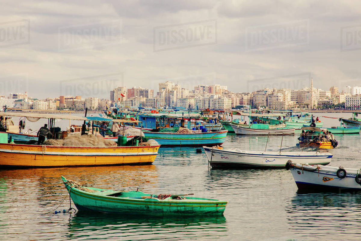 Boats in harbour, Alexandria, Egypt - Royalty-free Stock Photo | Dissolve