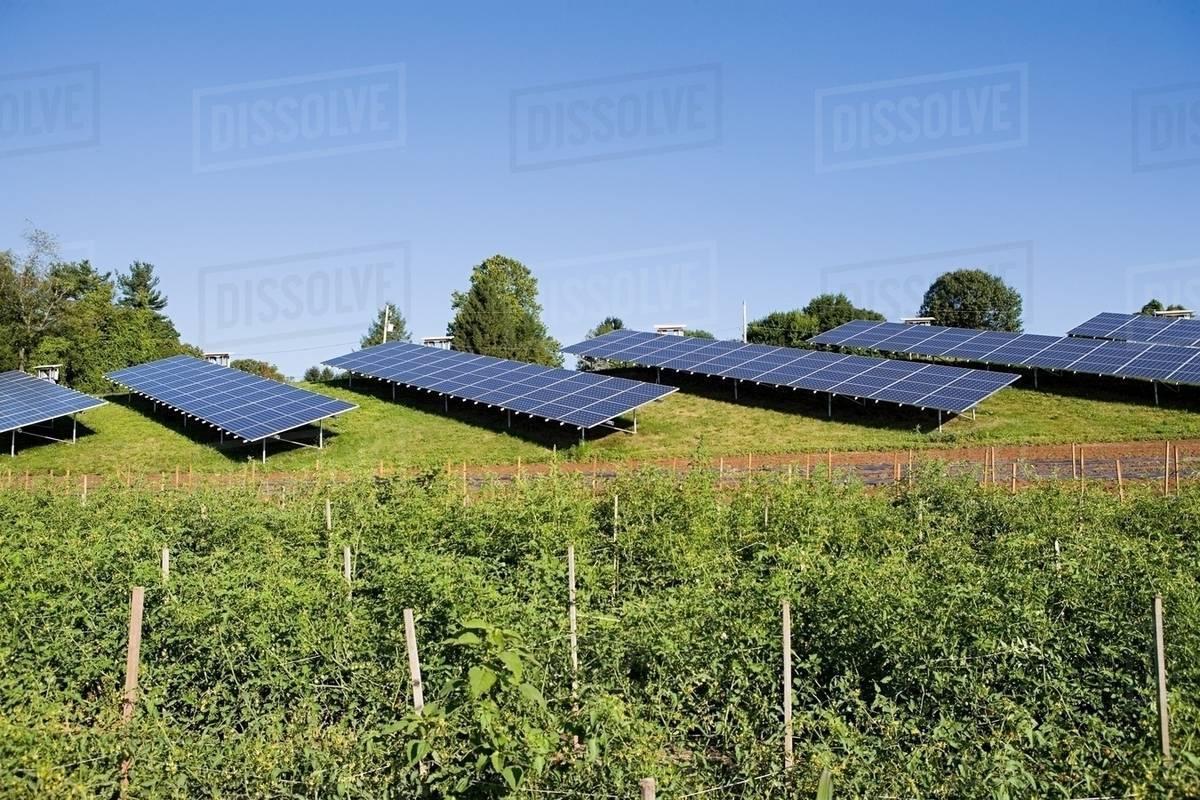 Solar panels in field, Pennsylvania - Royalty-free Stock Photo | Dissolve