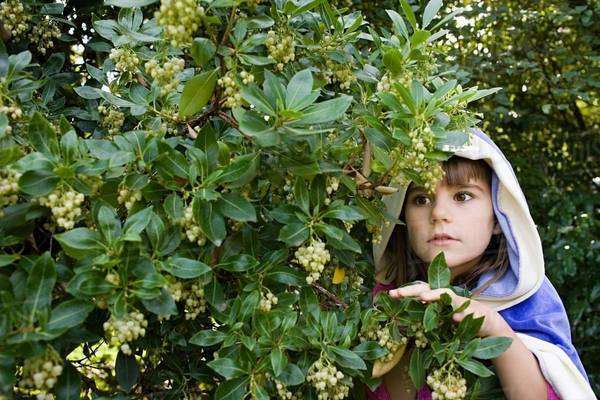 Girl wearing cape with hood hiding in bushes - Royalty-free Stock Photo ...