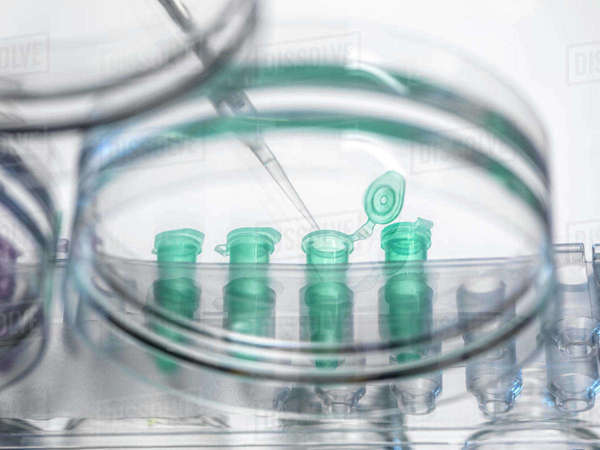 Close-up of petri dish test tubes and pipette in laboratory - Royalty ...