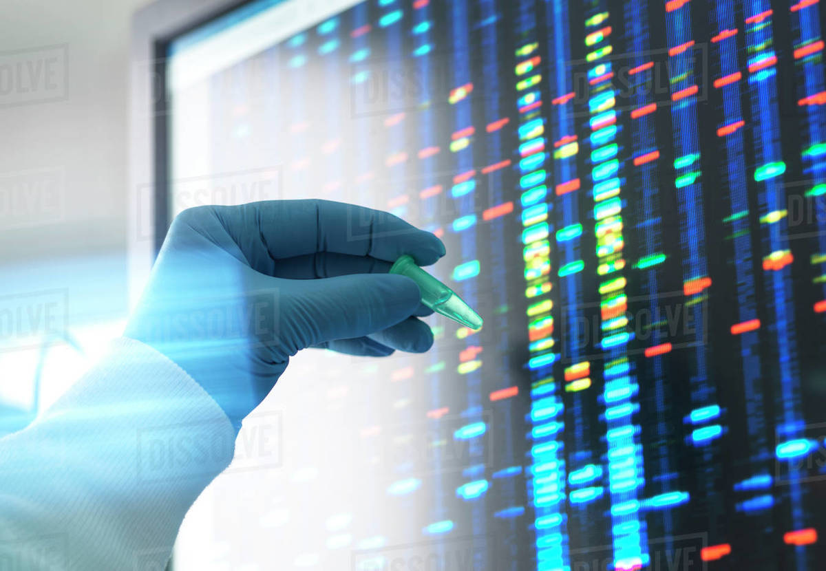 Scientist matching DNA sample to results on screen - Stock Photo - Dissolve