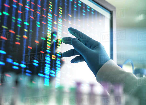 Scientist matching DNA sample to results on screen - Stock Photo - Dissolve