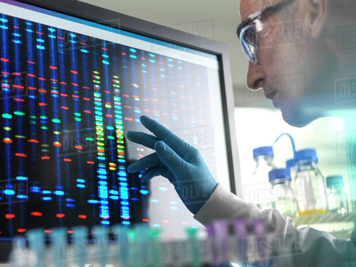 Scientist viewing DNA sample results on screen during clinical ...