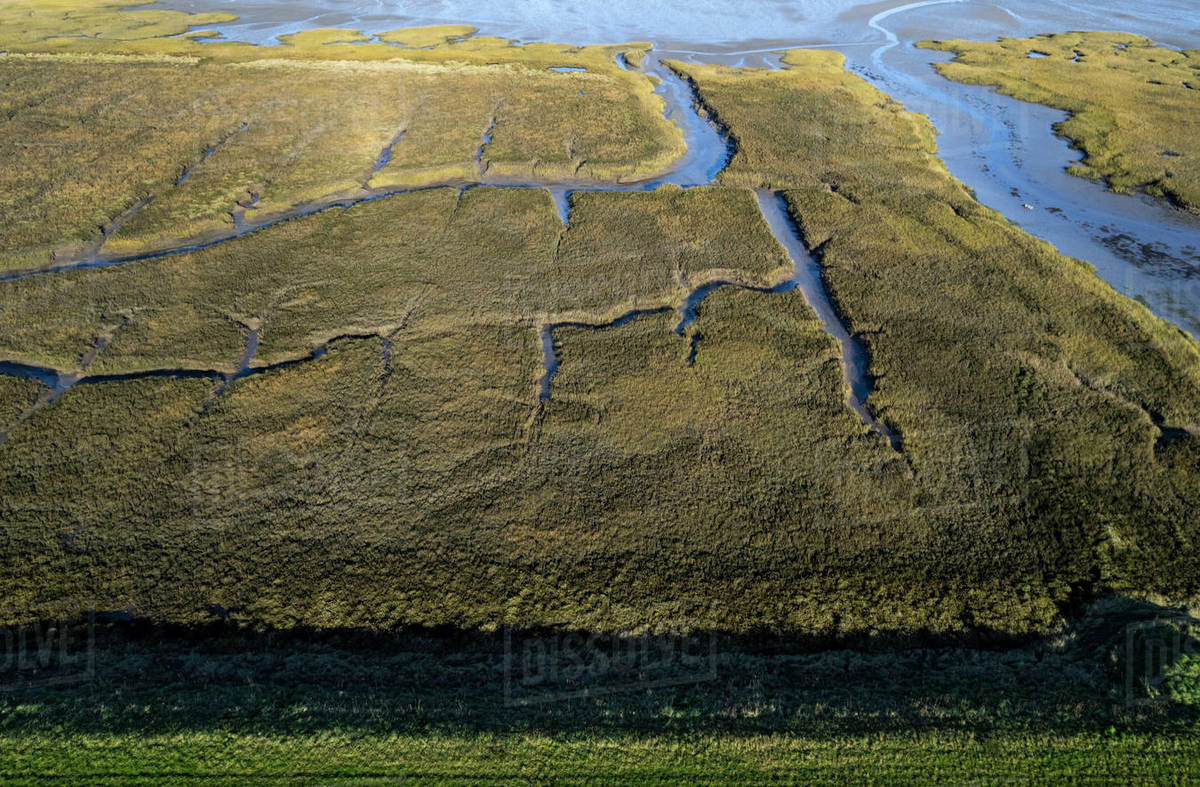 Aerial view of tidal wetlands bordering polder and dyke - Royalty-free ...
