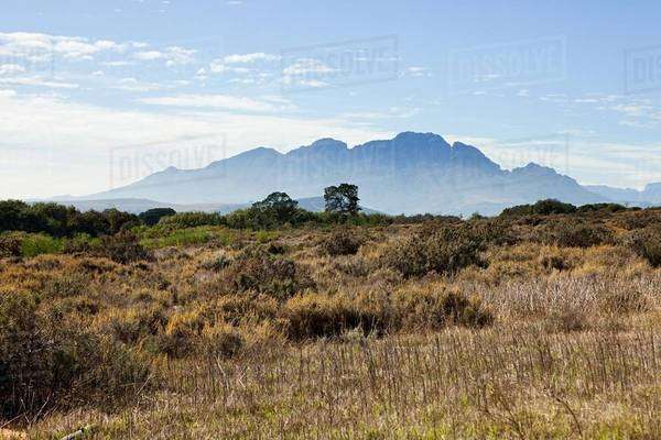 Winelands of South Africa near Stellenbosch, Drakenstein Mountain chain ...