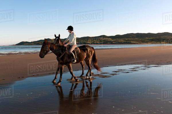 Young woman riding horse on beach - Stock Photo - Dissolve
