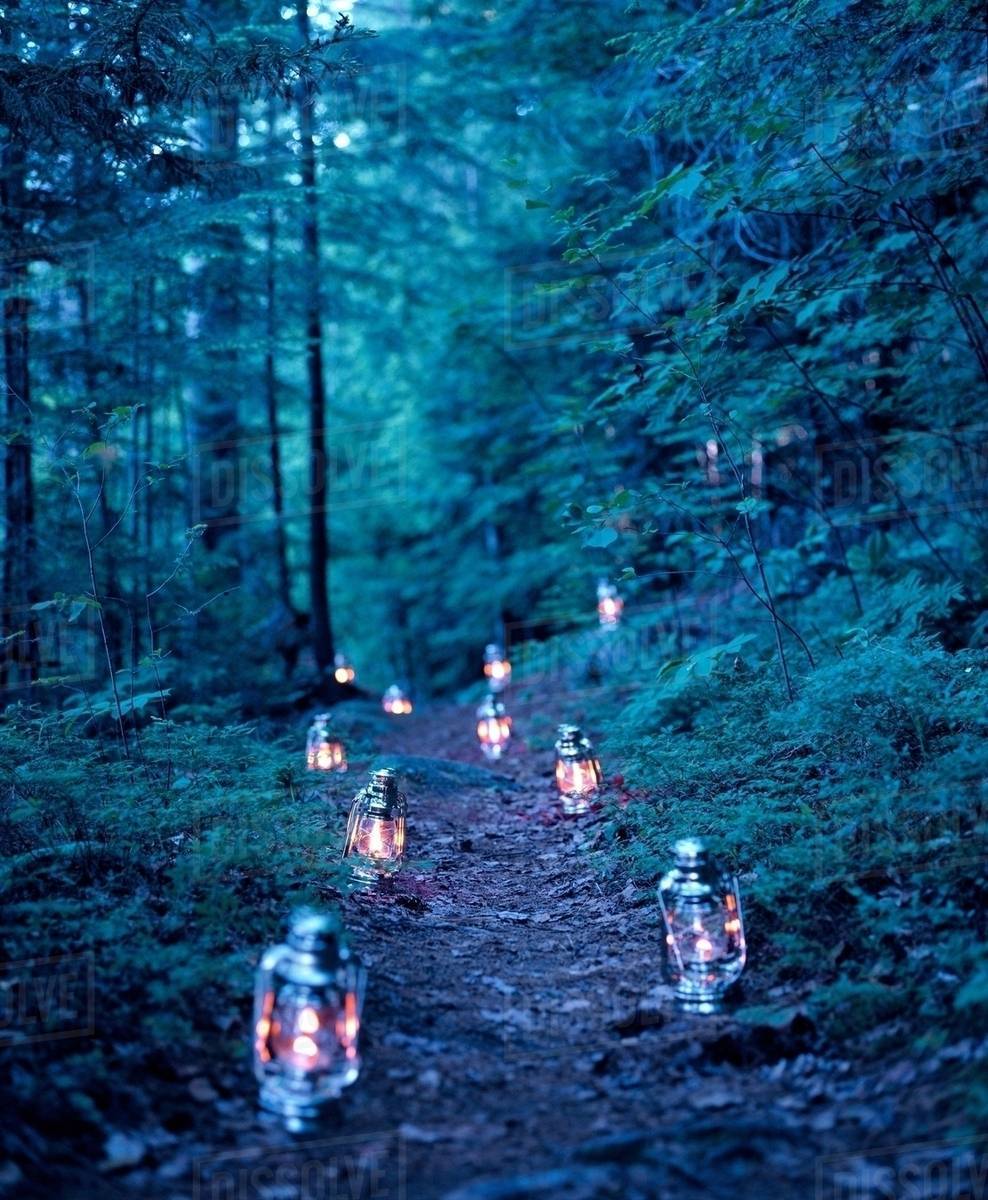 Lanterns marking a path through the woods - Royalty-free Stock Photo ...