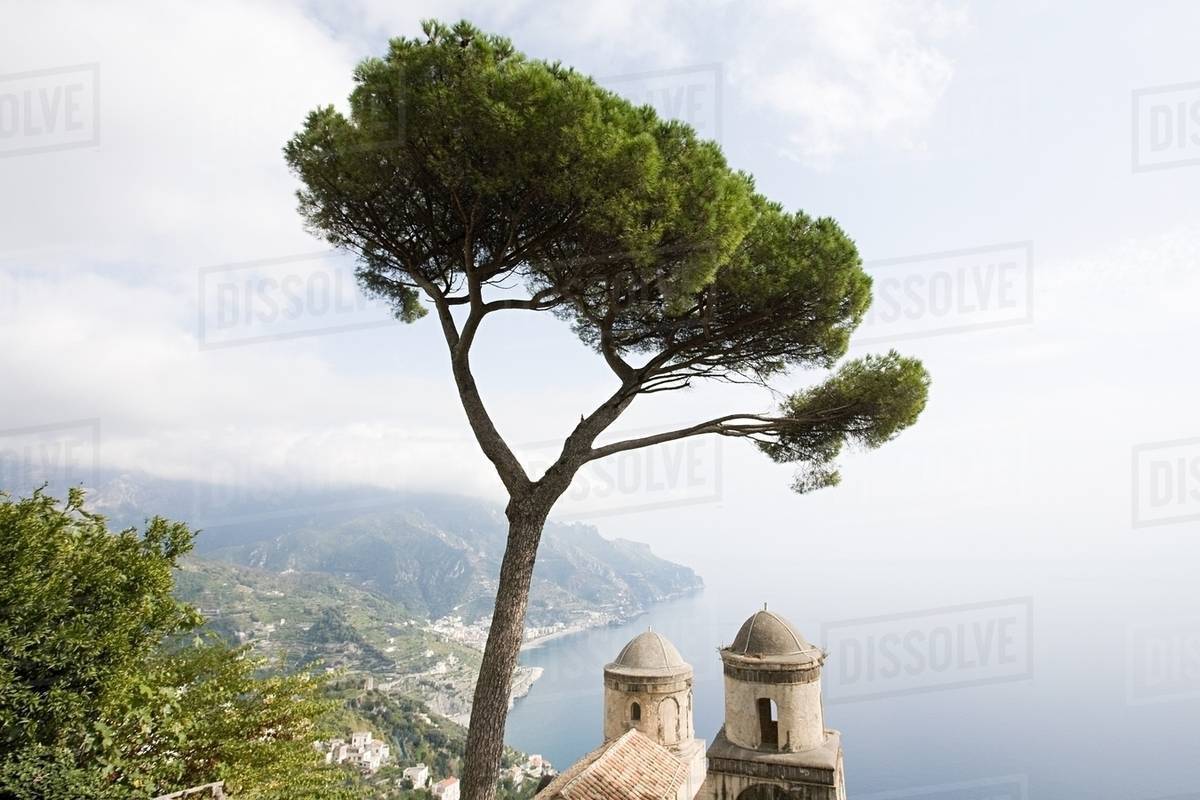 Church and tree in ravello - Stock Photo - Dissolve