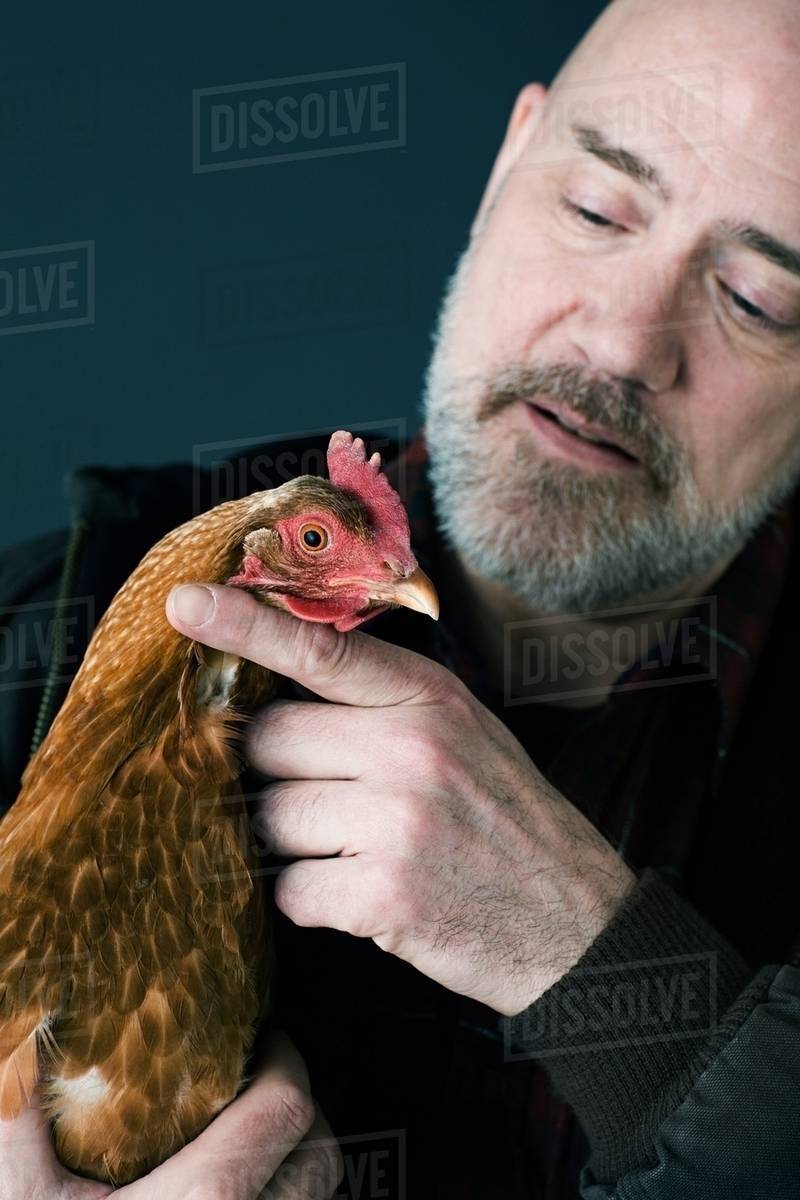 Man holding a chicken - Royalty-free Stock Photo | Dissolve