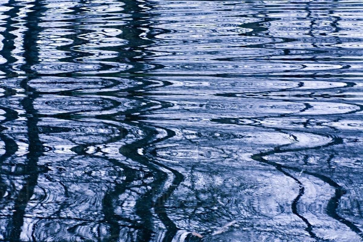 Ripples on a lake - Royalty-free Stock Photo | Dissolve