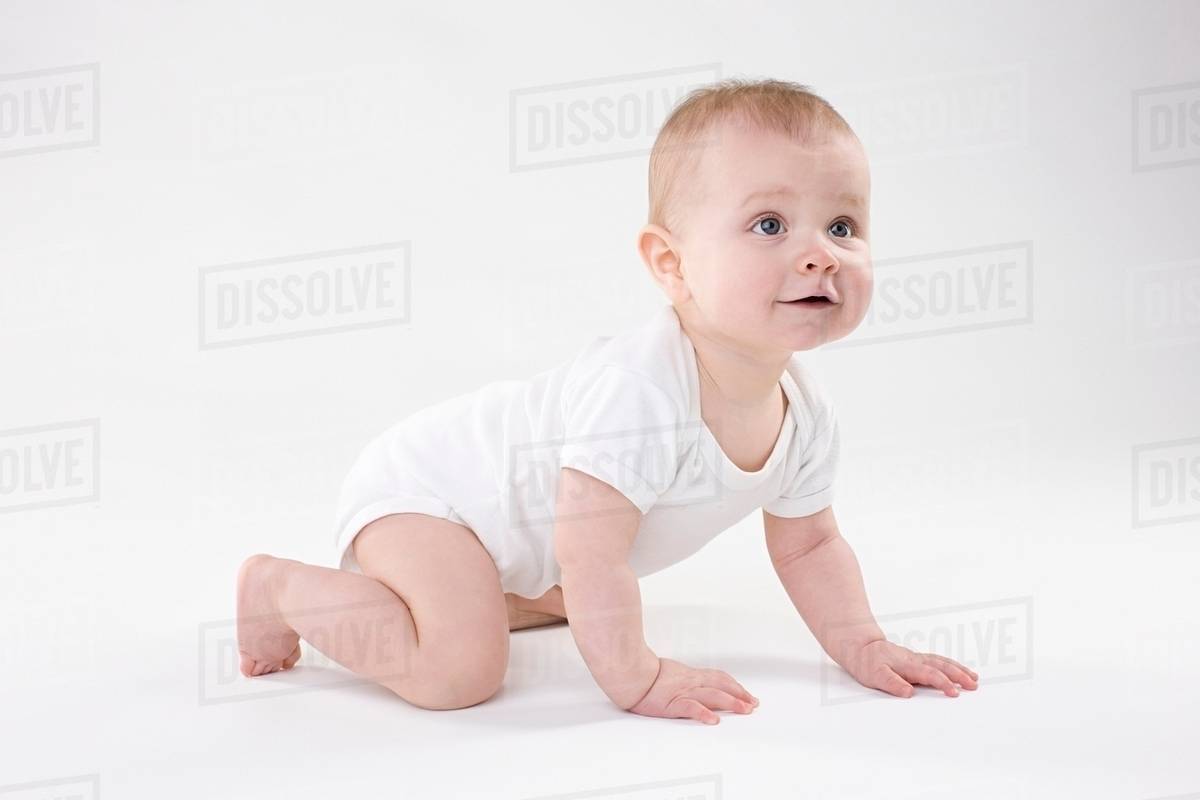 Baby crawling - Royalty-free Stock Photo | Dissolve