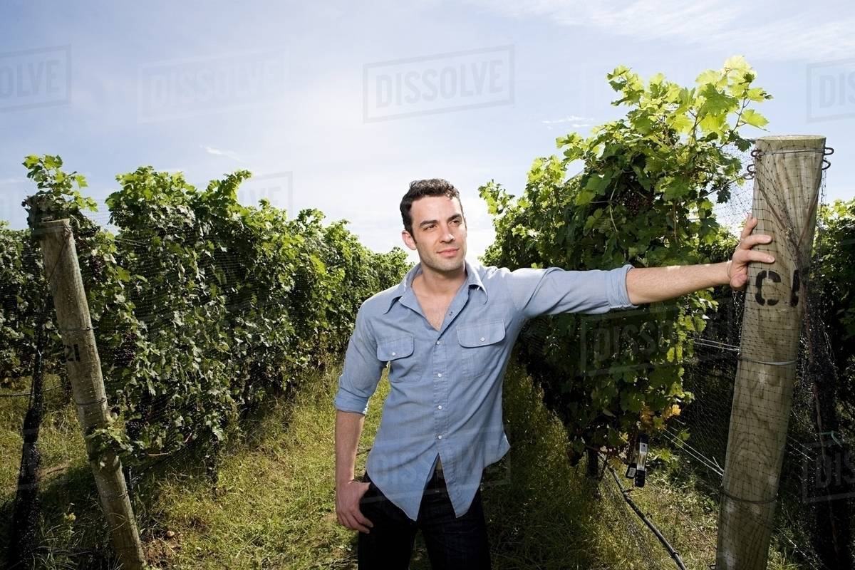Young man in vineyard - Stock Photo - Dissolve