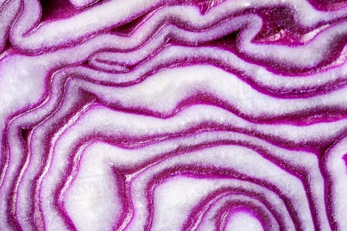 Sliced red cabbage, close up - Stock Photo - Dissolve