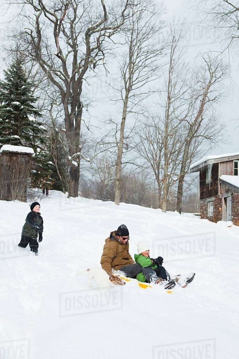 Family sledging in snow - Stock Photo - Dissolve