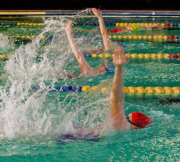 Female swimmers doing backstroke in swimming pool - Stock Photo - Dissolve