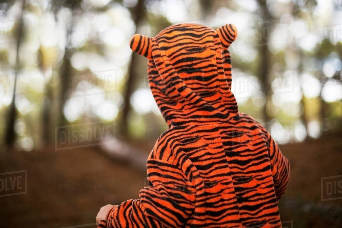 Back view of male toddler in tiger suit exploring woods - Stock Photo ...
