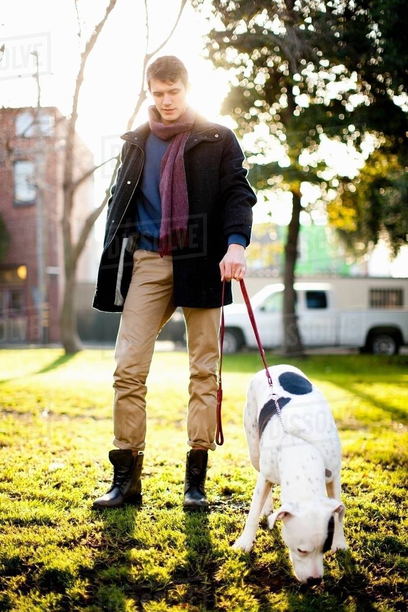 Man walking dog in park - Stock Photo - Dissolve
