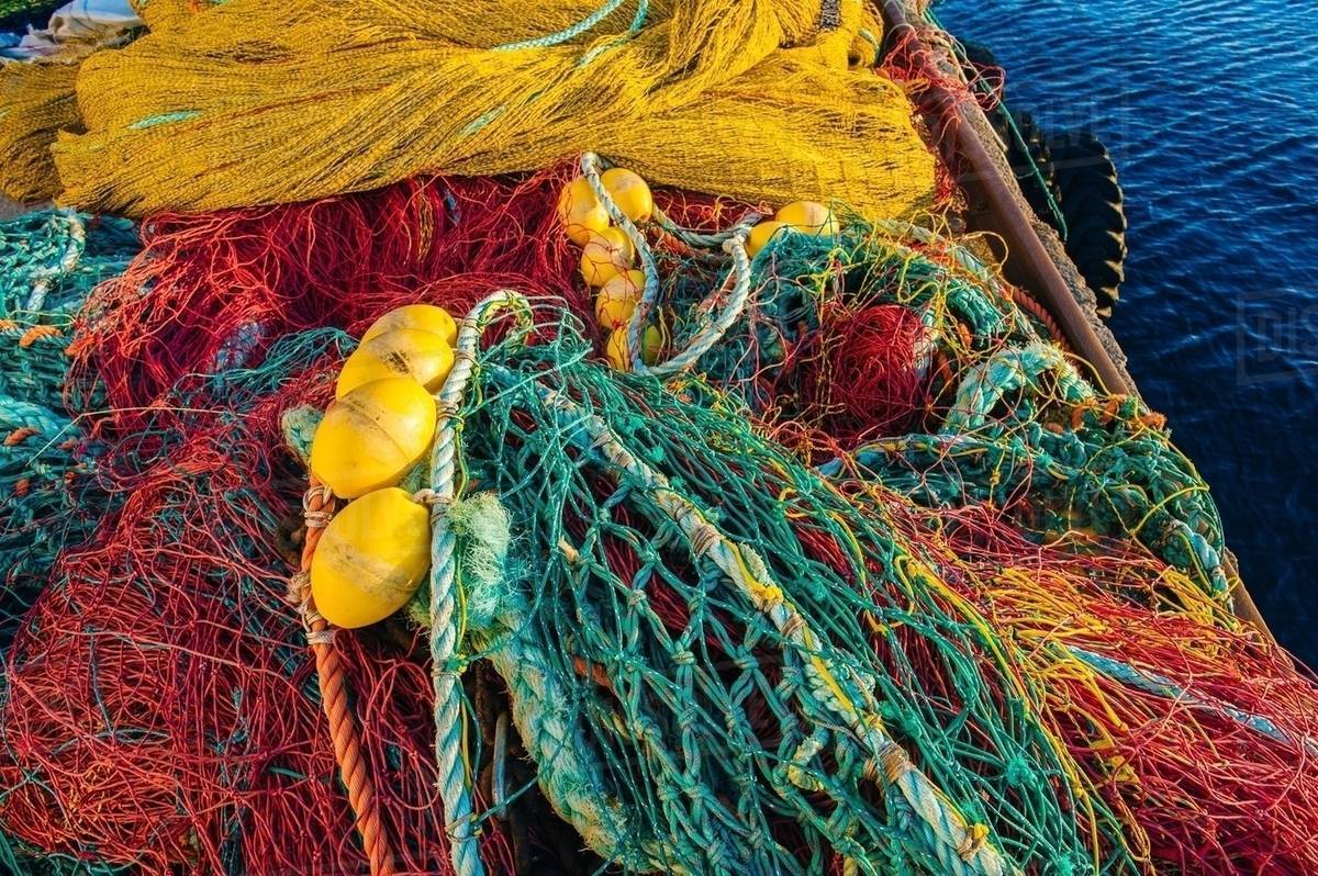 Fishing nets, Reine, Norway - Royalty-free Stock Photo | Dissolve