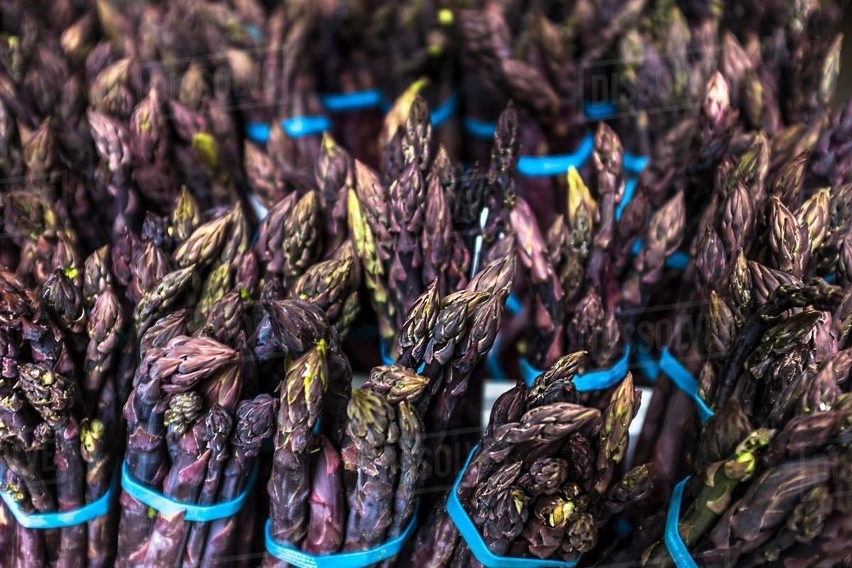 Bundles of purple asparagus - Royalty-free Stock Photo | Dissolve