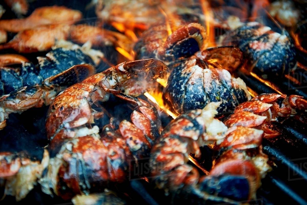 Cropped view of charred shellfish cooking on barbecue - Royalty-free ...