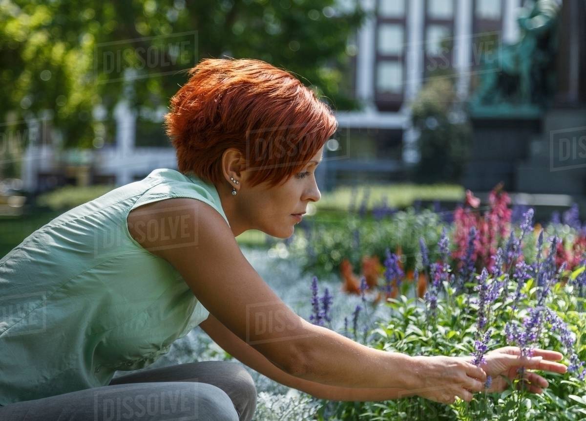 Side view of miid adult woman squatting picking flowers - Royalty-free ...