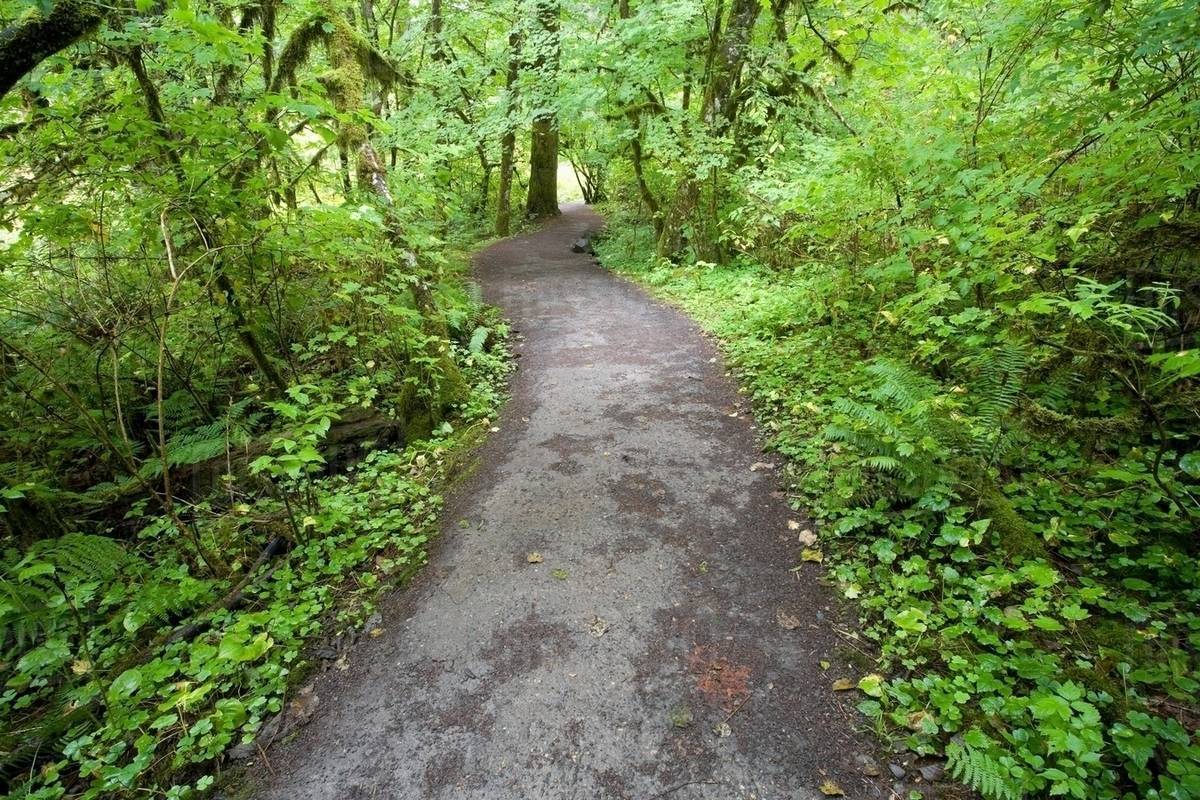 Country path - Royalty-free Stock Photo | Dissolve
