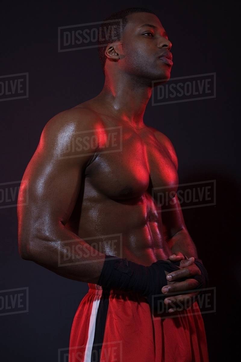 Portrait of a boxer - Stock Photo - Dissolve