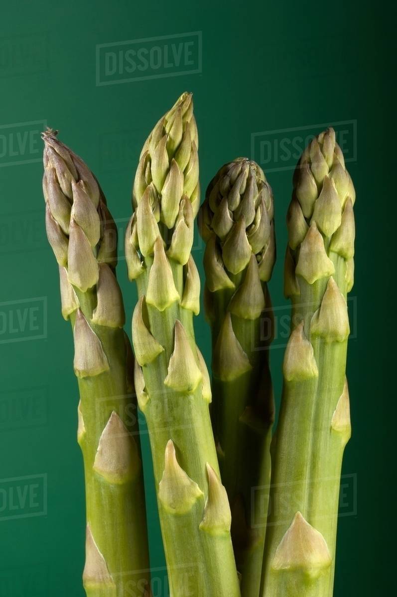 Close up of four asparagus stalks - Royalty-free Stock Photo | Dissolve