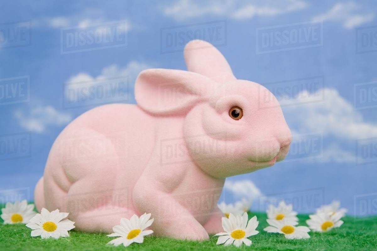 A pink rabbit - Royalty-free Stock Photo | Dissolve