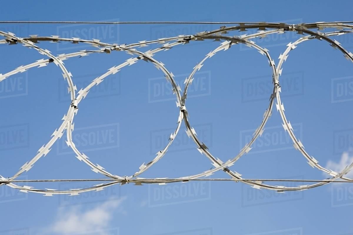 Barbed wire - Royalty-free Stock Photo | Dissolve