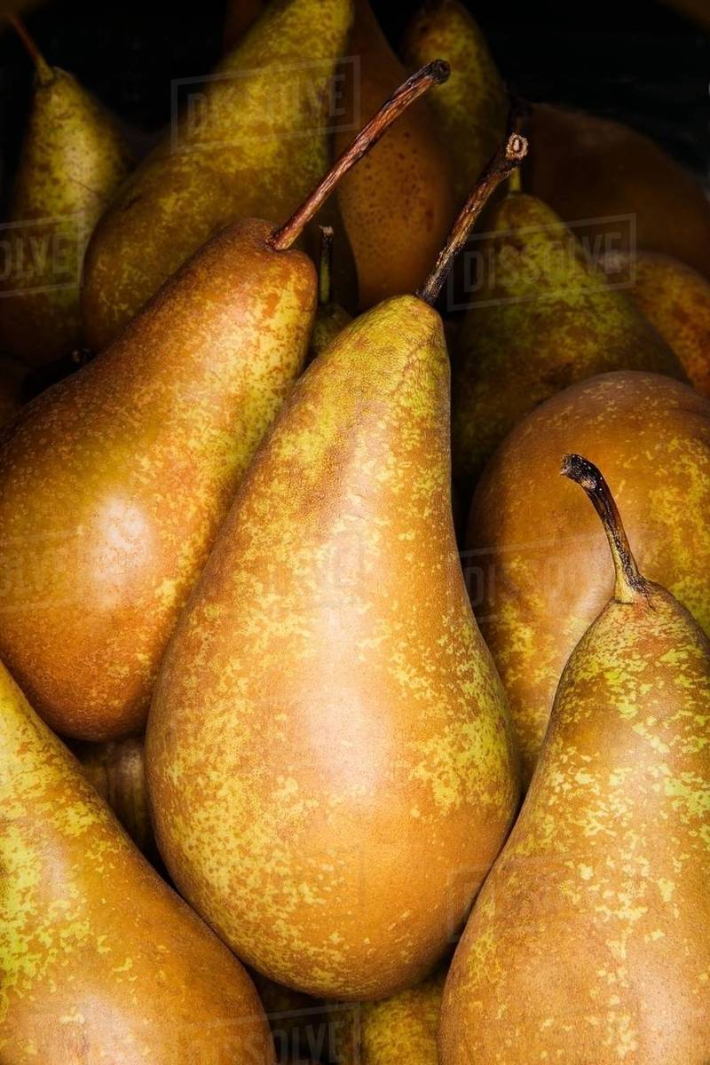 Pears - Royalty-free Stock Photo | Dissolve