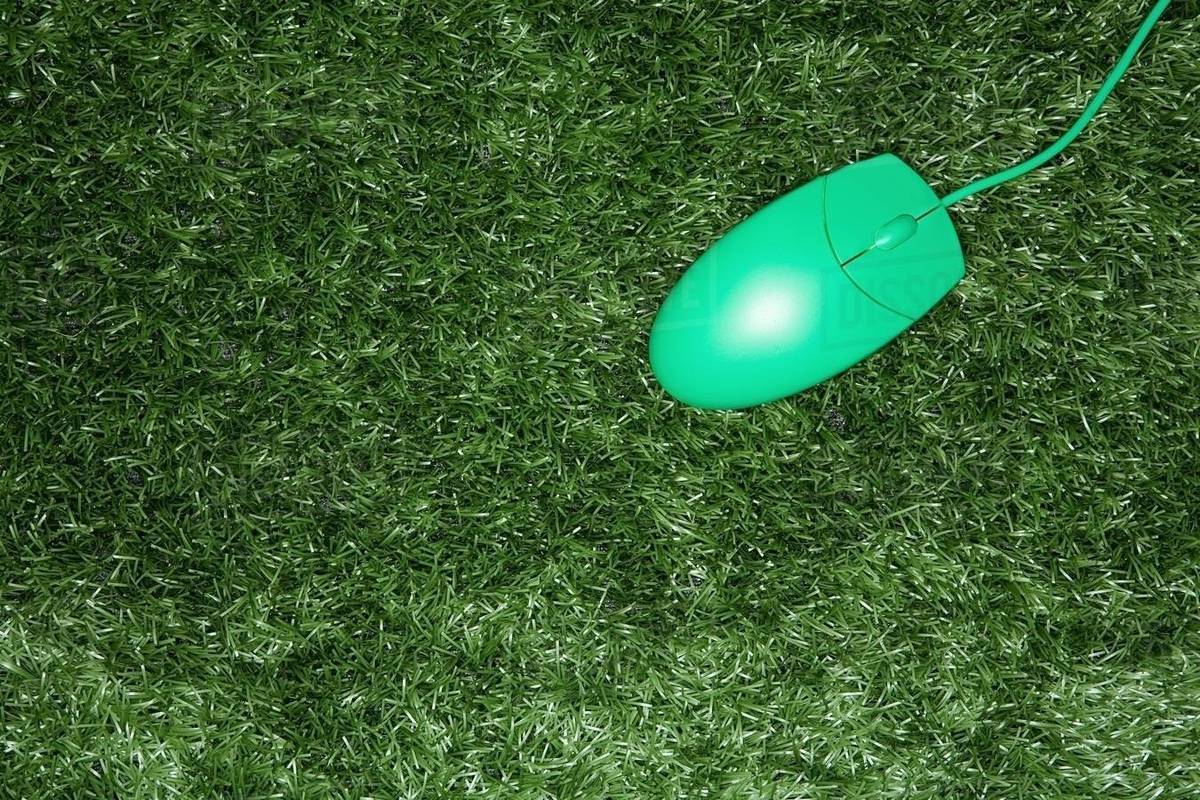 A green computer mouse - Royalty-free Stock Photo | Dissolve