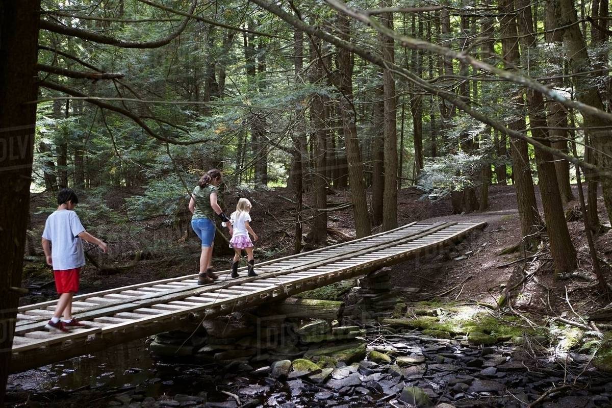 Children walking in forest - Stock Photo - Dissolve