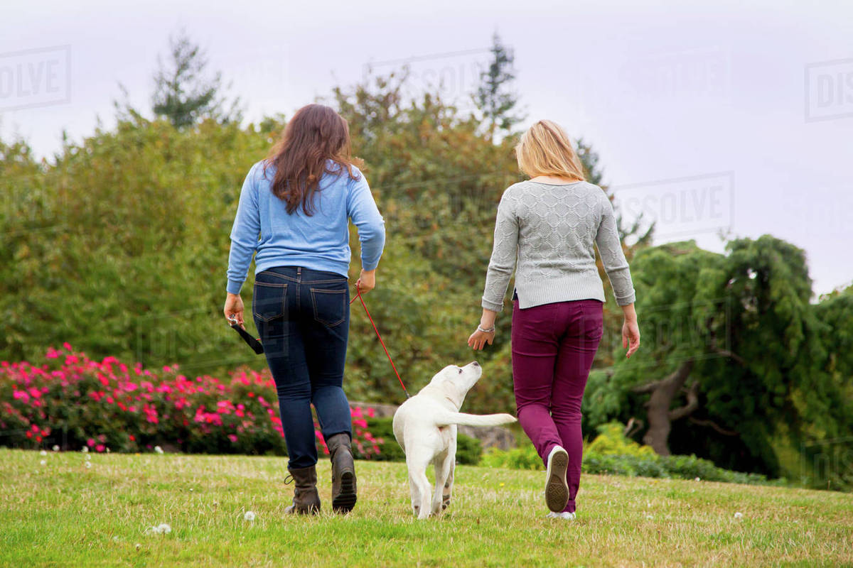 Two young women walking dog in park, rear view - Royalty-free Stock ...