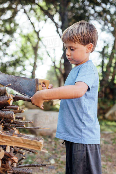 Boy sawing tree branch on woodpile in garden - Stock Photo - Dissolve