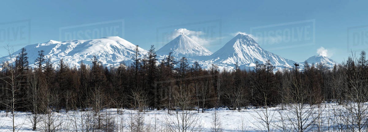 Panoramic wintry volcano landscape of Kamchatka Peninsula: view of ...