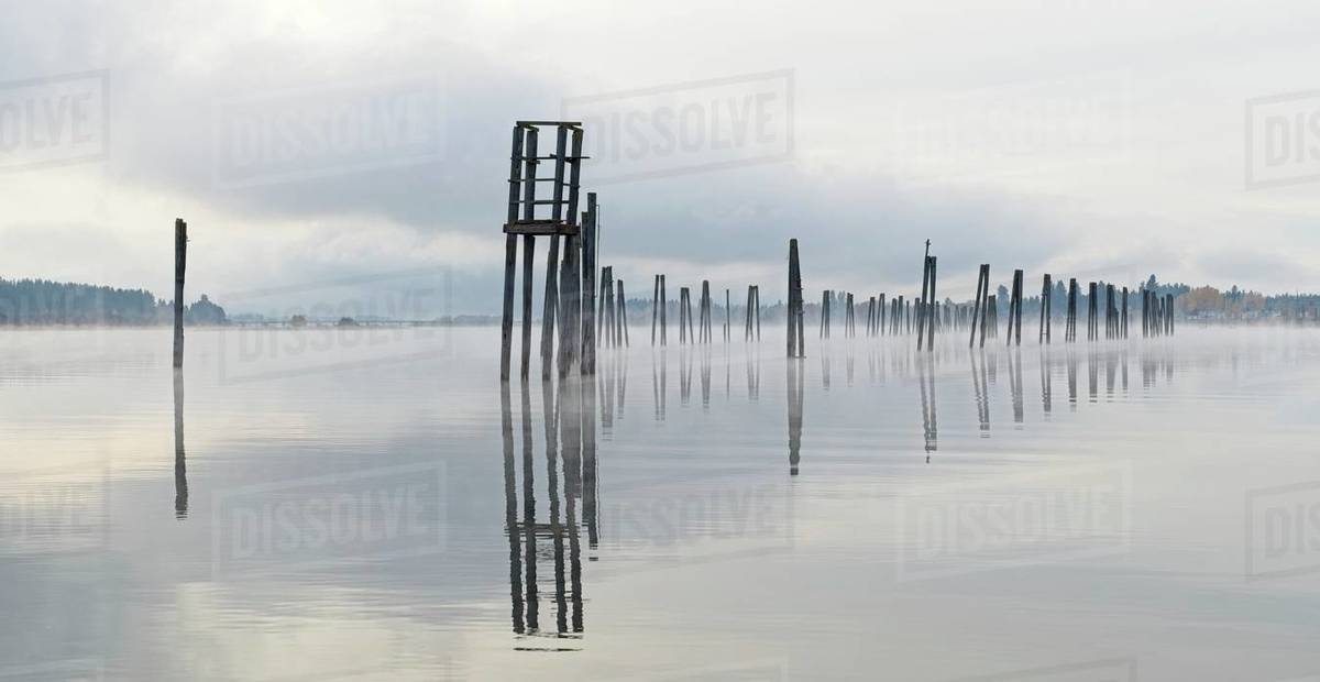 A panorama landscape morning photo of wood pilings in the calm Pend ...