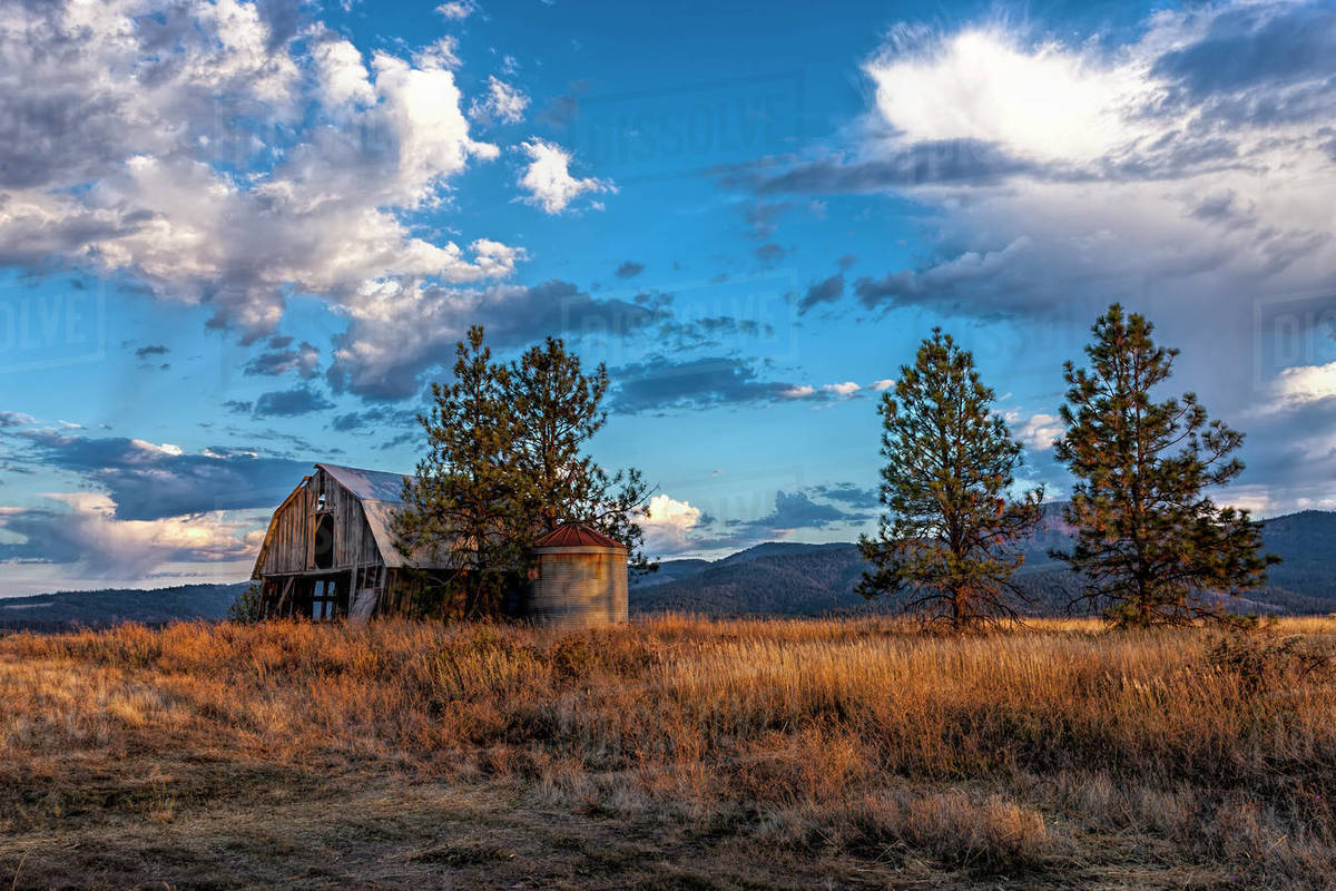 Old barn under a blue sky with clouds in the Rathdrum Prairie in north ...