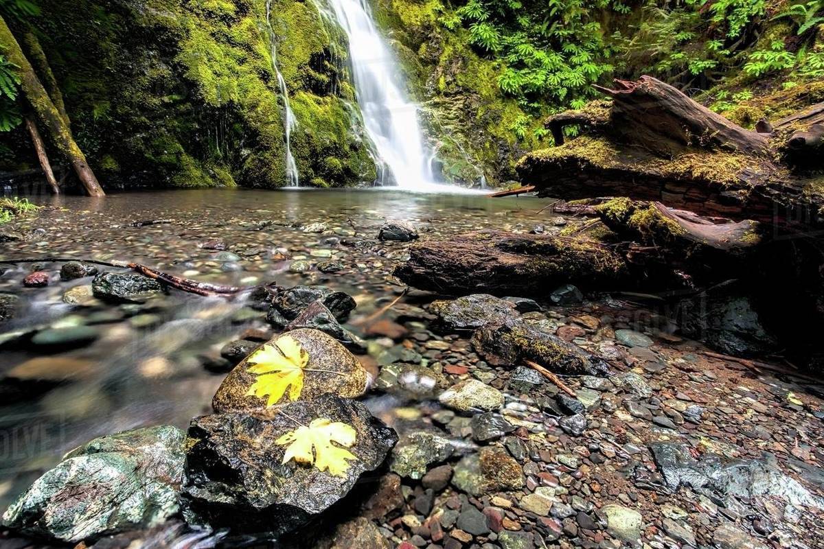 The scenic Madison Falls near the Ehwa River in Washington state ...