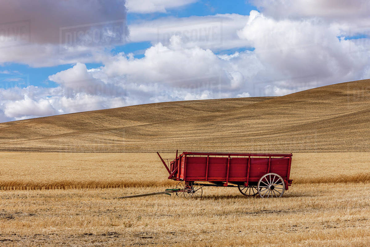 An old wheat wagon sitting in the wheat field near Colfax, Washington ...