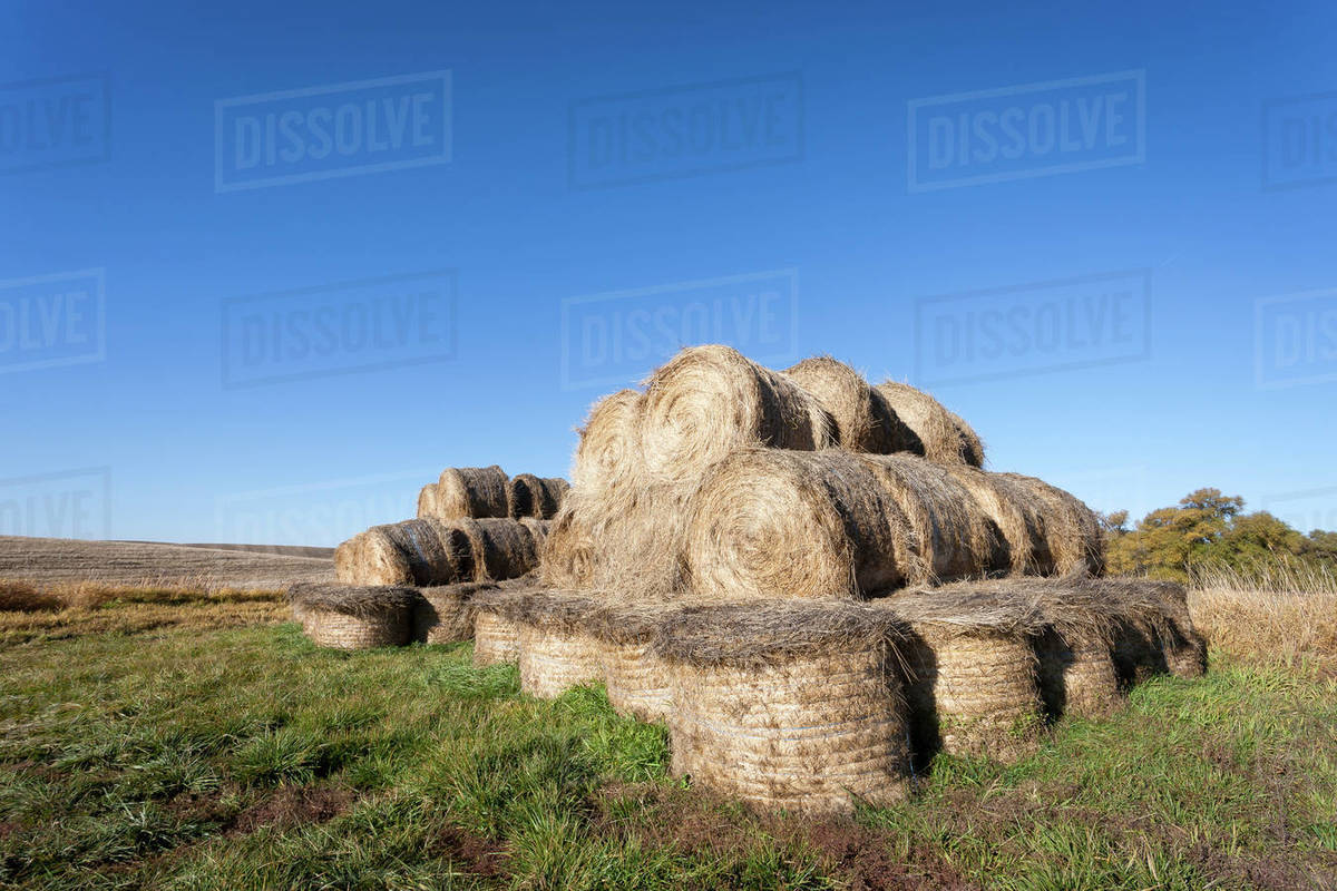 Large bundles of hay are stacked and ready in the Palouse region of ...