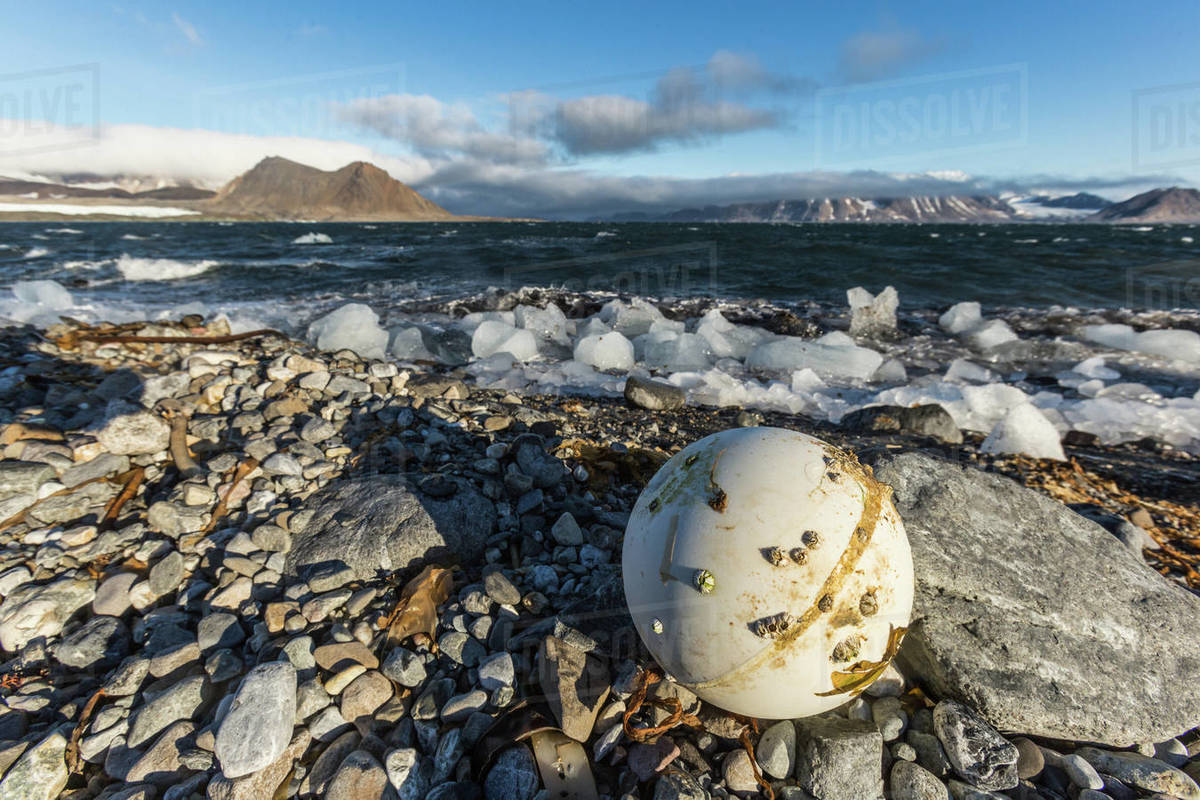 Plastic pollution in Arctic coast. - Royalty-free Stock Photo | Dissolve